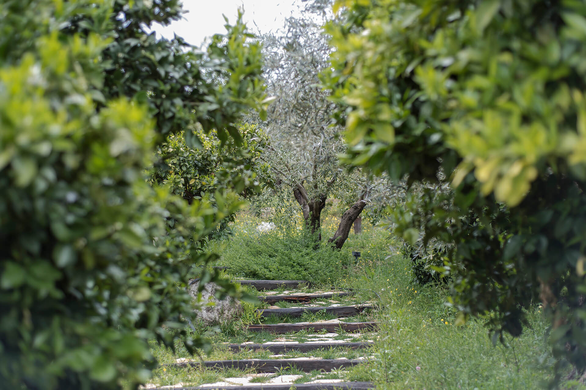 Opora Country Living – Nafplio country living